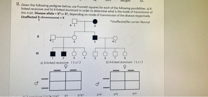 Solved 1. Given the following pedigree below, use Punnett | Chegg.com