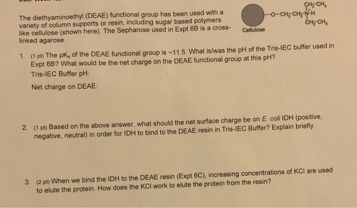 Solved CHCH o-CH- CH;N-H сH, сH, The diethyaminoethyl (DEAE) | Chegg.com