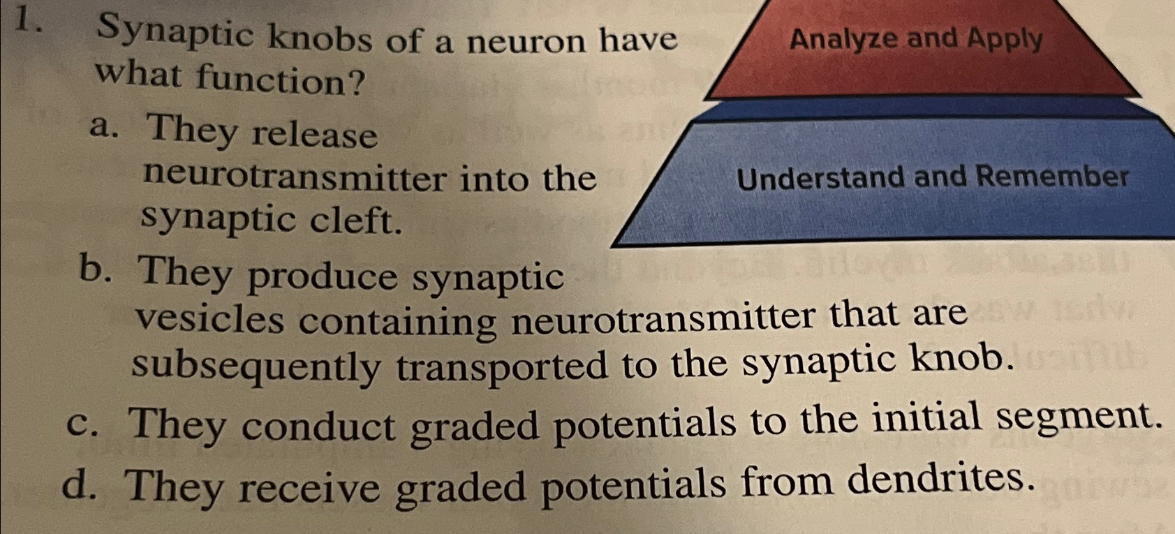 Solved Synaptic knobs of a neuron have what function?a. | Chegg.com