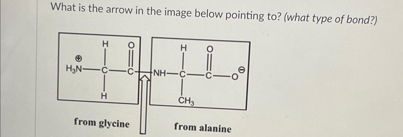 Solved What is the arrow in the image below pointing | Chegg.com
