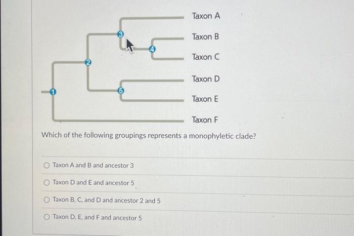 Solved Which of the following groupings represents a | Chegg.com