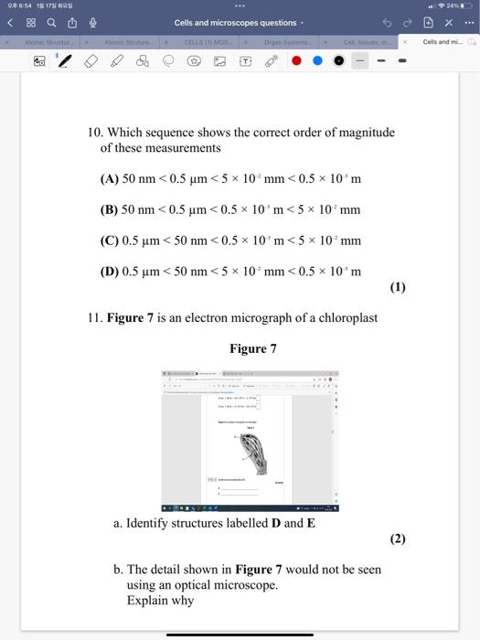Solved Cells and microscopes questions 1. Uronema marinum is | Chegg.com