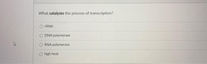 Solved What catalyzes the process of transcription? ORNA | Chegg.com