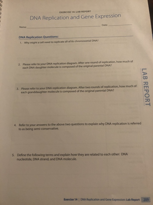 Solved 2 EXERCISE 14. LAB REPORT DNA Replication and Gene | Chegg.com