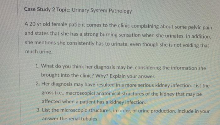 Solved Case Study 2 Topic: Urinary System Pathology A 20 yr | Chegg.com