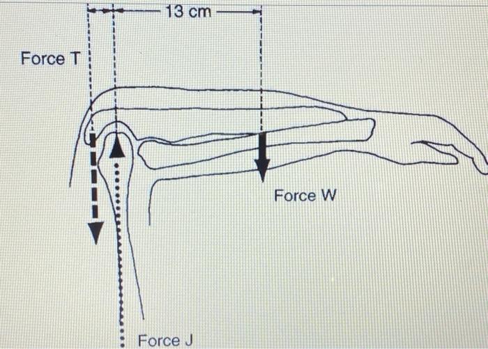 Solved For the same figure shown, how does the tendon force, | Chegg.com