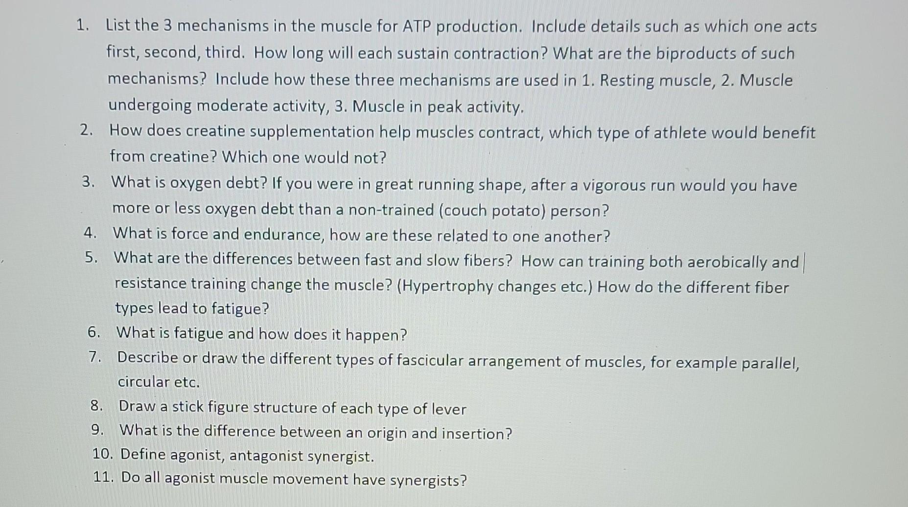 Solved 1. List the 3 mechanisms in the muscle for ATP | Chegg.com
