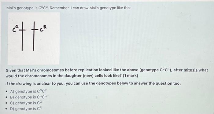 Solved Mal's genotype is C2C6. Remember, I can draw Mal's | Chegg.com