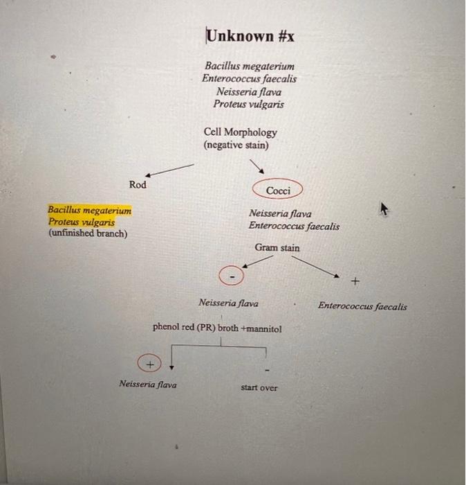 Solved create a flow chart based on the informationthe | Chegg.com