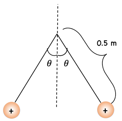 Solved Two 6.0 ﻿g beads are suspended from a 0.5 ﻿m long | Chegg.com