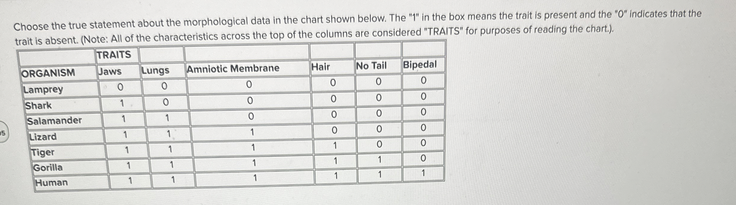 Solved Choose the true statement about the morphological | Chegg.com