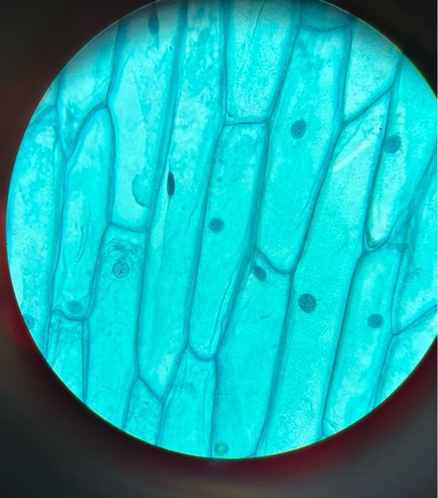Solved Question 3: When you summarize the results of an | Chegg.com