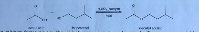 Solved H2SO4 (catalyst) i heat HO OH acetic acid isopentanol | Chegg.com