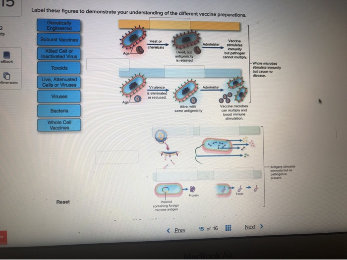 Solved Label these figures to demonstrate your understanding | Chegg.com