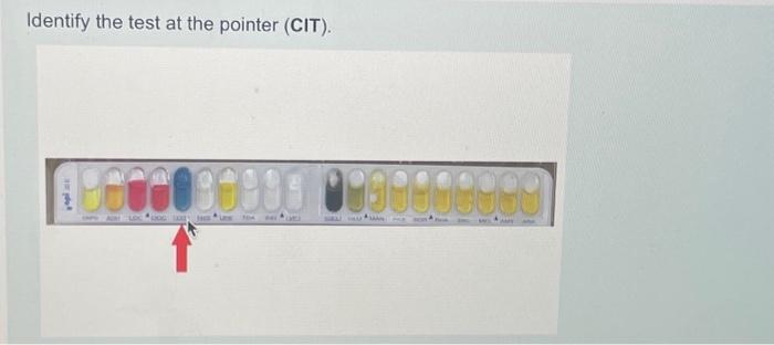Solved Which of these API-20E test strips contains a lactose | Chegg.com