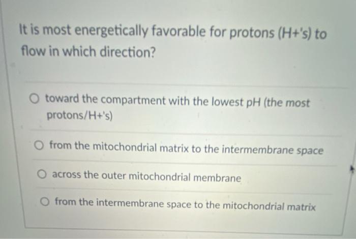 Solved It is most energetically favorable for protons (H+'s) | Chegg.com