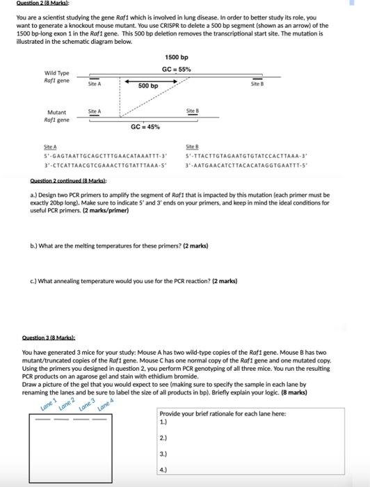 Question 2 (8) Marks): You are a scientist studying | Chegg.com