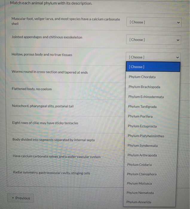 Solved Match each animal phylum with its description. | Chegg.com