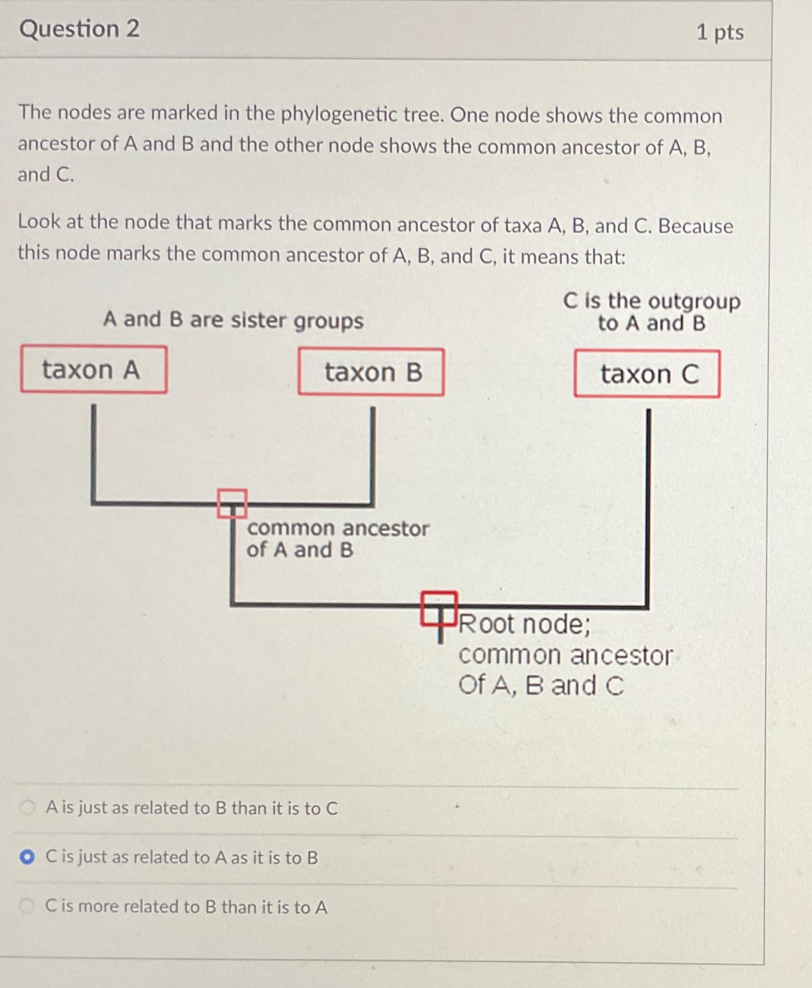 Solved Question 21 ﻿ptsThe nodes are marked in the | Chegg.com