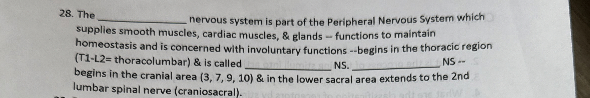 Solved The nervous system is part of the Peripheral Nervous | Chegg.com