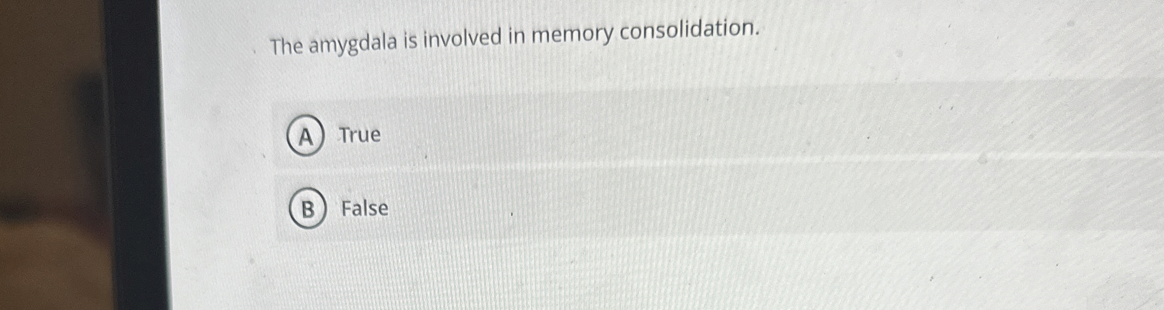 Solved The amygdala is involved in memory | Chegg.com
