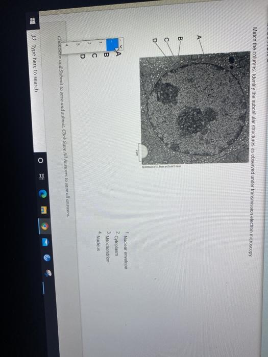 Solved Consider the compound pairs below 1.HCHO, CH3CHO | Chegg.com