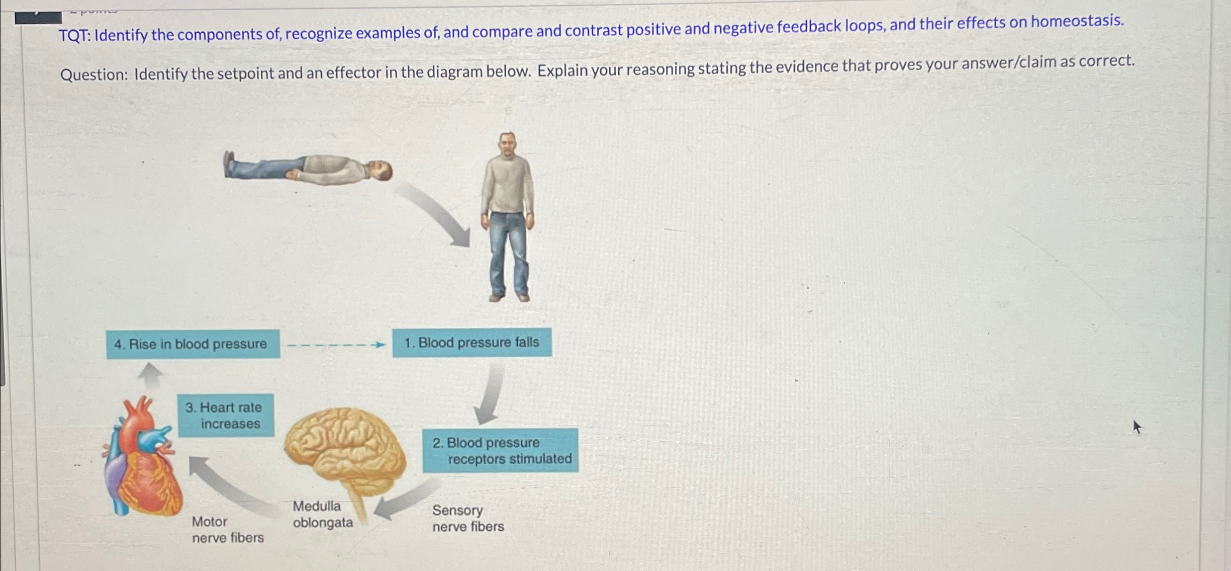 Solved TQT: Identify the components of, ﻿recognize examples | Chegg.com