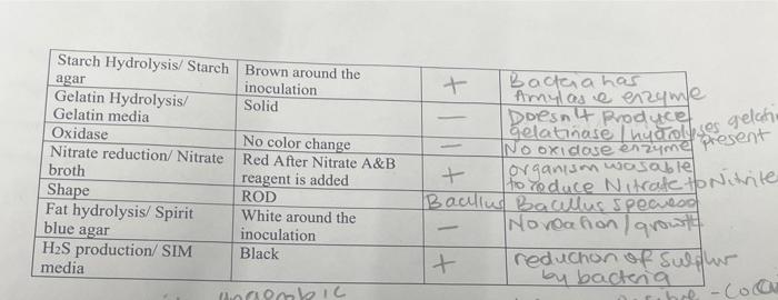 Solved The follow biochemical tests were performed after an | Chegg.com