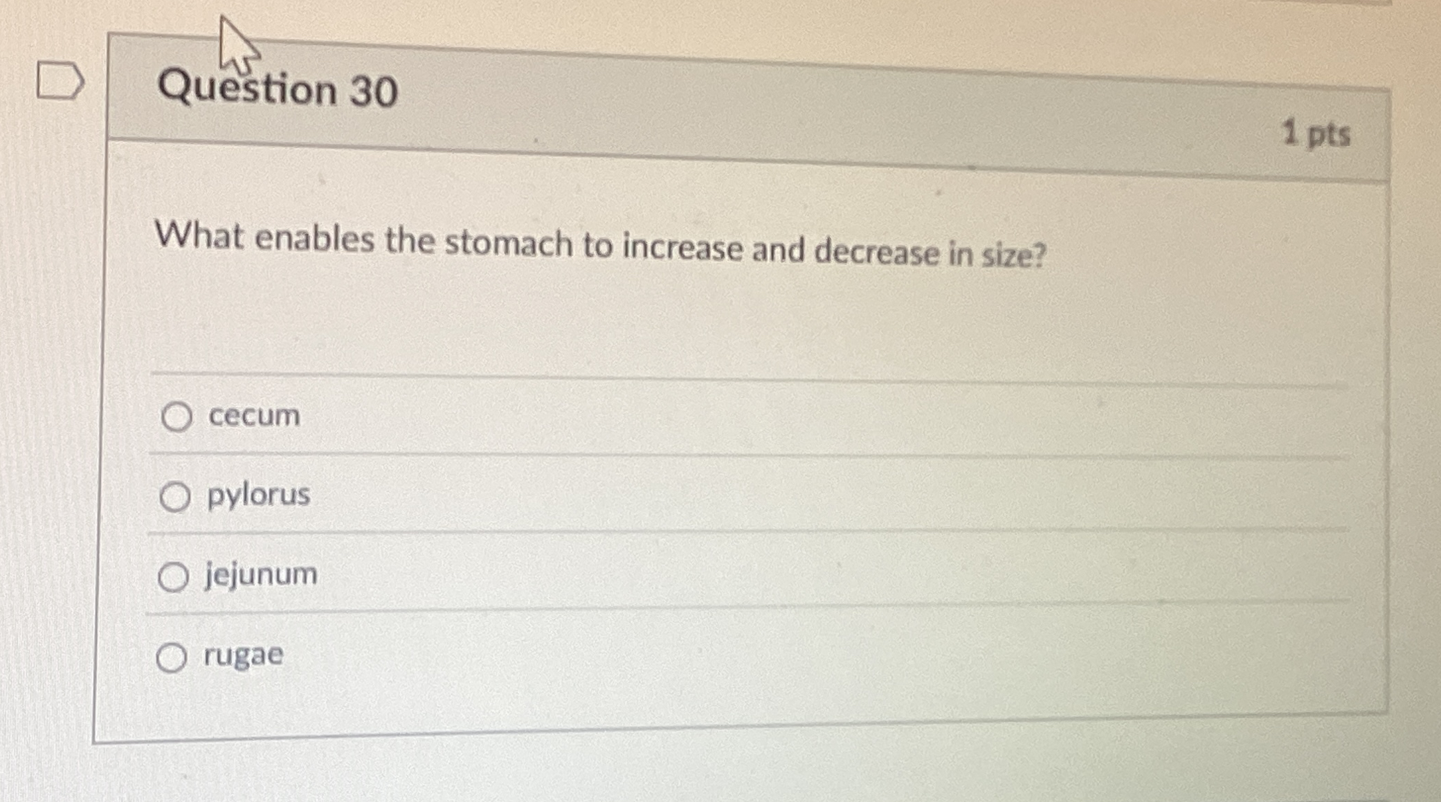 Solved Question 30What enables the stomach to increase and | Chegg.com Solved Question 30What enables the stomach to increase and | Chegg.com