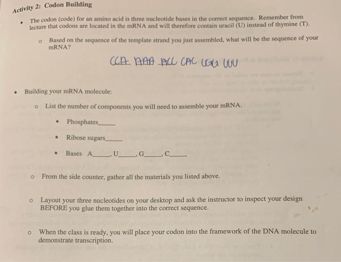Solved Activity 2: Codon Building The codon (code) for an | Chegg.com