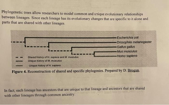 Solved Exercise 1. Reconstructing primate evolution | Chegg.com