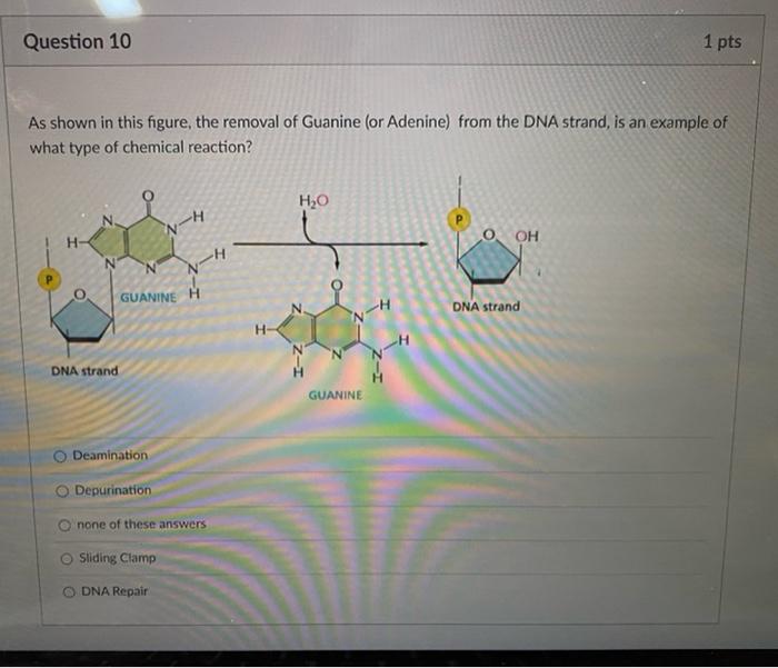 Solved Question 10 1 pts As shown in this figure, the | Chegg.com