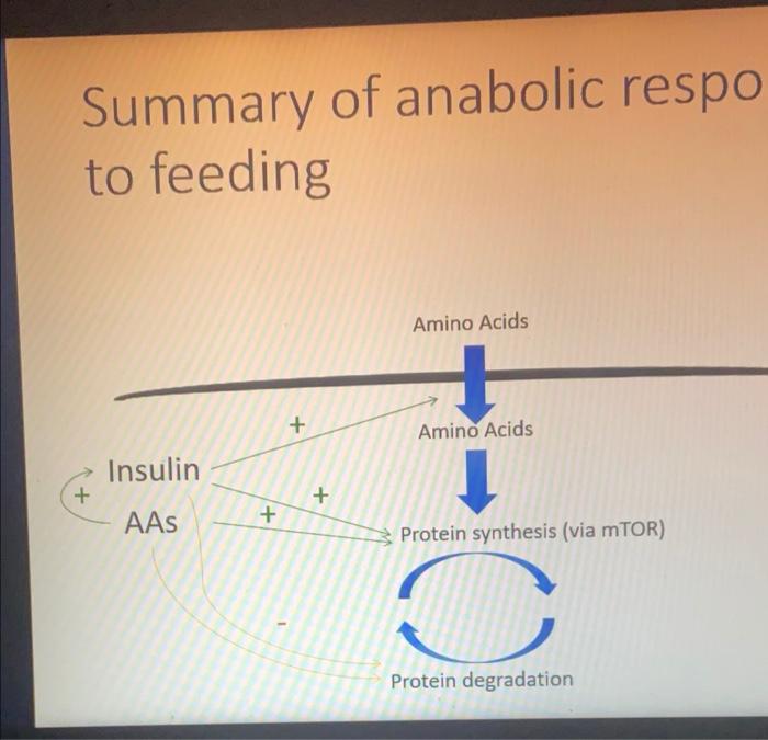 Solved For each of the 6 arrows, explain the mechanism that | Chegg.com