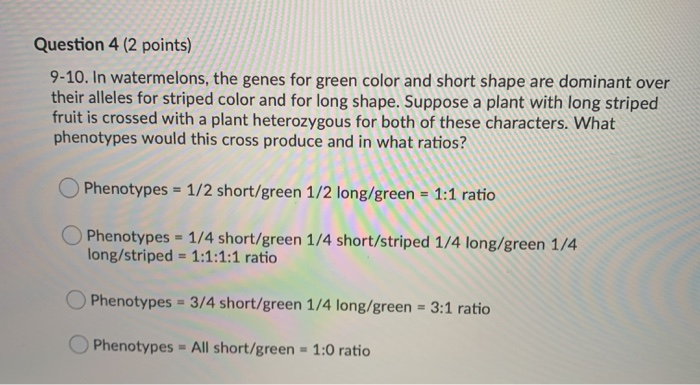 Question 1 (3 points) 1-3. List the gametes which | Chegg.com