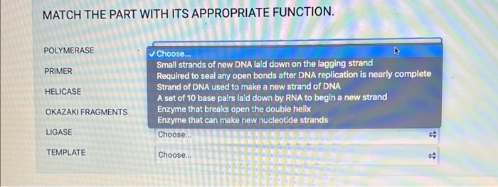 Solved MATCH THE PART WITH ITS APPROPRIATE FUNCTION. | Chegg.com