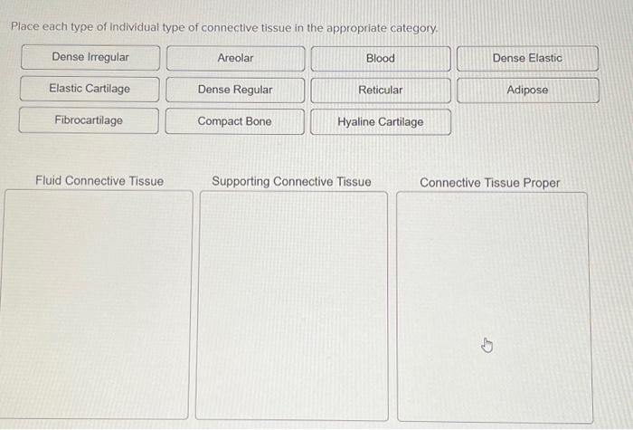 Solved Place each type of individual type of connective | Chegg.com