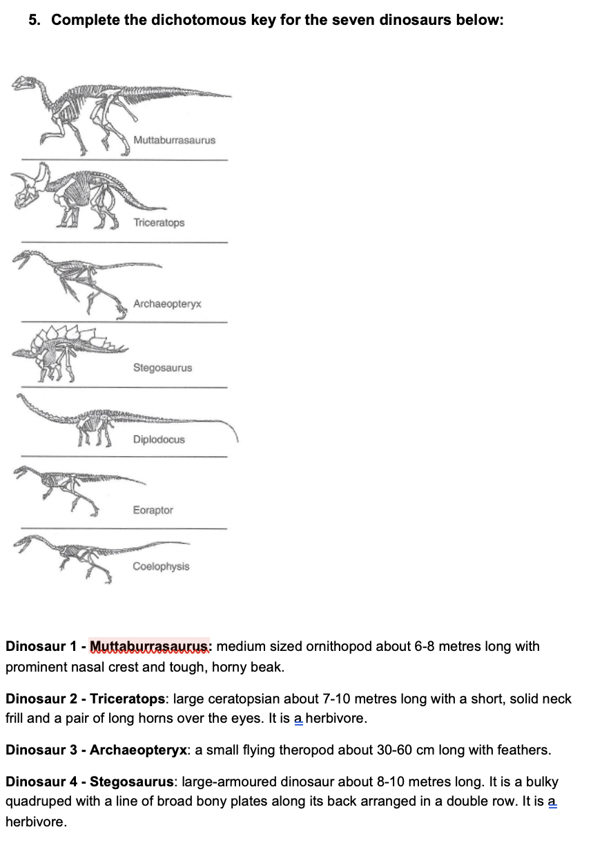 Solved Dinosaur 5 - ﻿Diplodocus: large sauropod about 20-30 | Chegg.com
