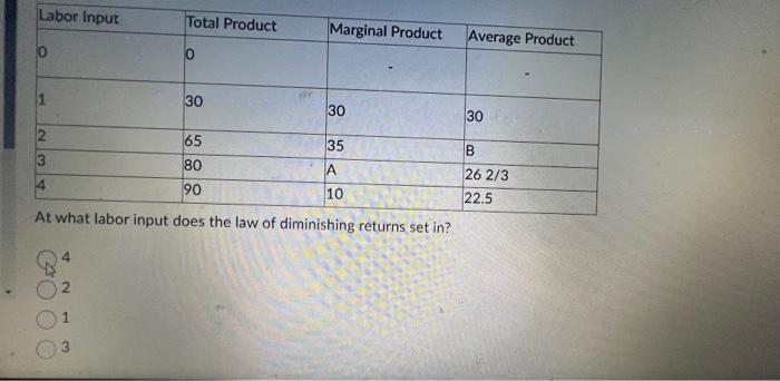 Solved At what labor input does the law of diminishing | Chegg.com