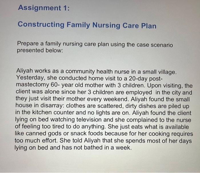 Solved Constructing Family Nursing Care Plan Prepare a | Chegg.com