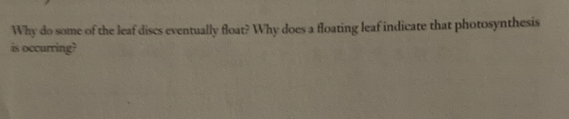 Solved Why do some of the leaf dises erentually float? Why | Chegg.com