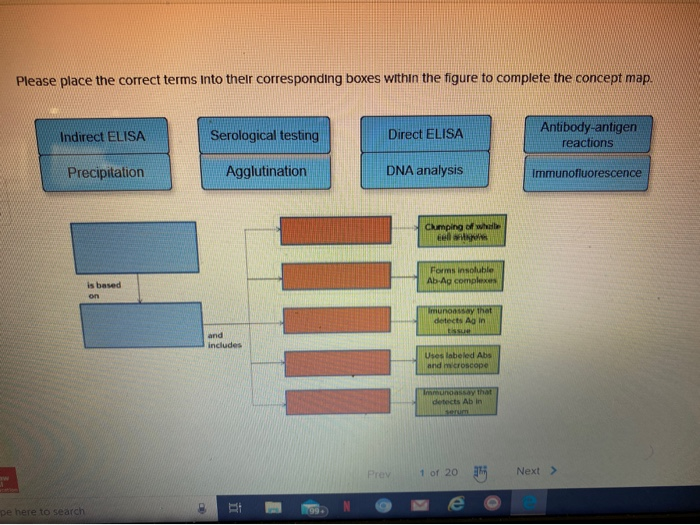 Solved Please place the correct terms into their | Chegg.com
