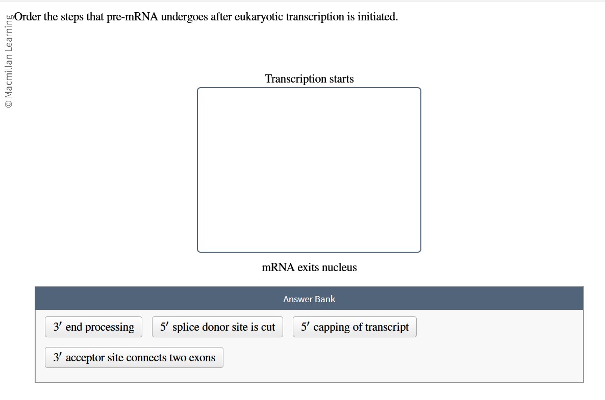 Solved onder the steps that pre-mRNA undergoes after | Chegg.com