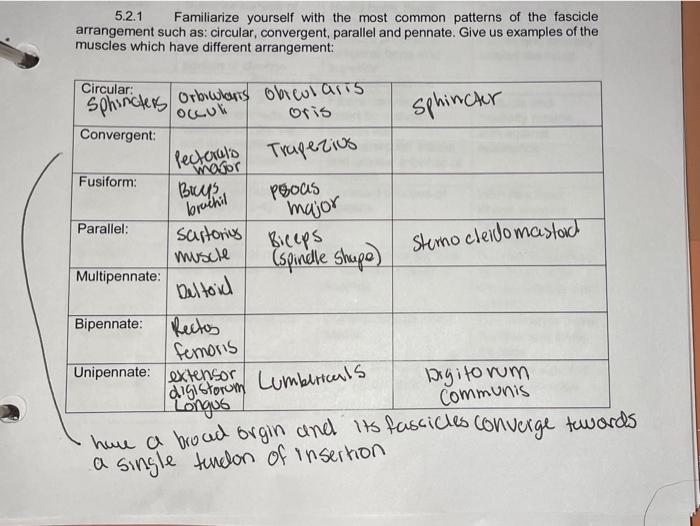 Solved 5.2.1 Familiarize yourself with the most common | Chegg.com