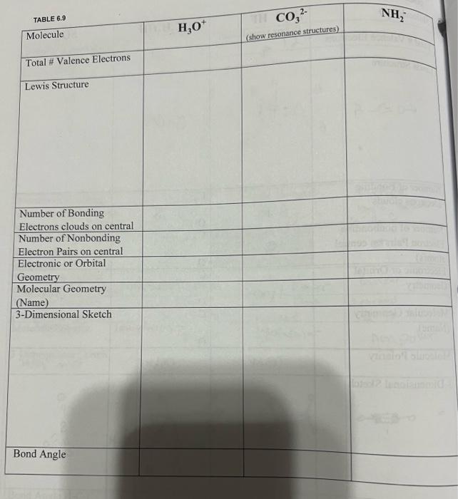 Solved pata Sheet: Molecular Models fif in the sheet below | Chegg.com