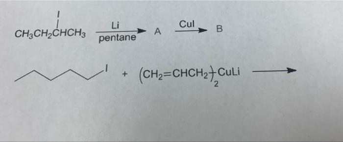 Solved HONCH Cul Li pentane CH3CH2CHCH3 A B (CH2=CHCH2 Culi | Chegg.com
