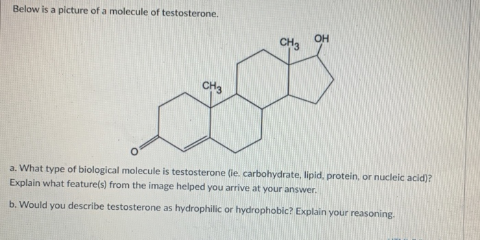 Solved Below is a picture of a molecule of testosterone. CH3 | Chegg.com