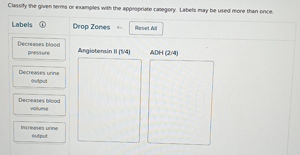 Solved Classify the given terms or examples with the | Chegg.com