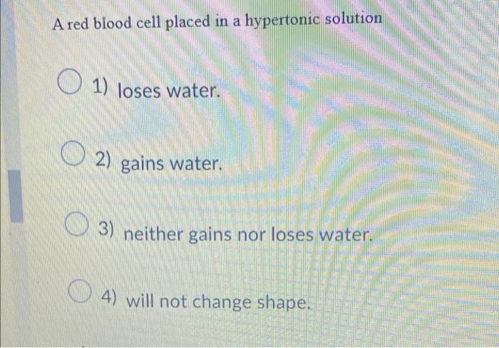 Solved A red blood cell placed in a hypertonic solution 1) | Chegg.com