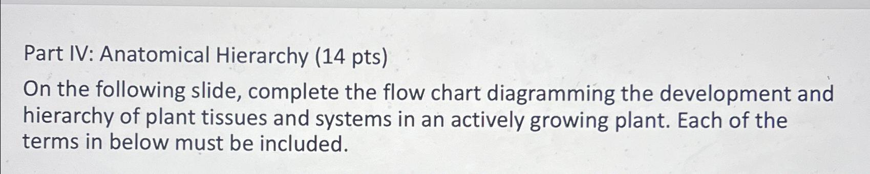 Solved Part IV: Anatomical Hierarchy (14 ﻿pts)On the | Chegg.com