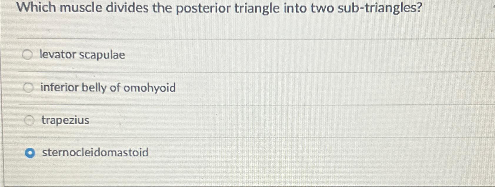 Solved Which muscle divides the posterior triangle into two | Chegg.com